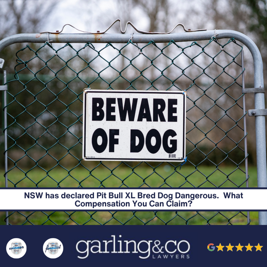 NSW has declared Pit Bull XL Bred Dog Dangerous. What Compensation You ...